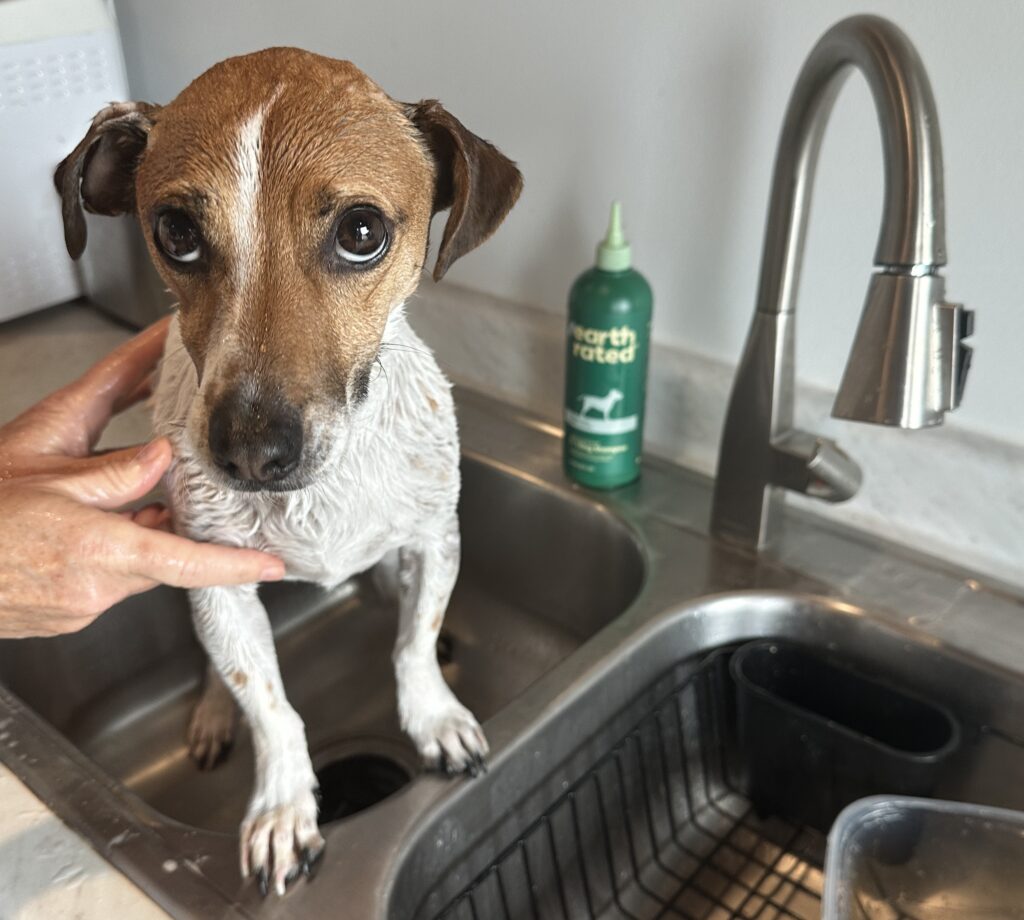 Earth Rated Dog Shampoo and Toys Product Review